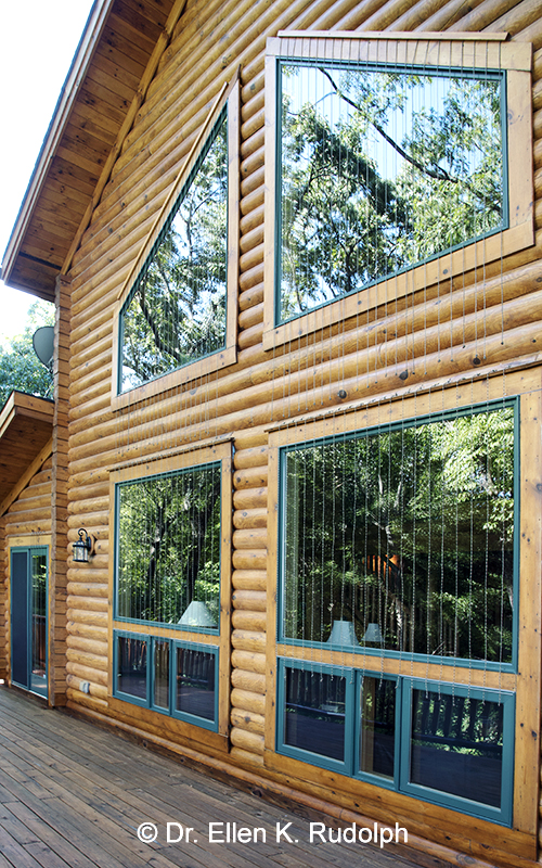 如何防止鸟类撞到你的窗户- Chatelaine - 2022世界杯球队入围名单